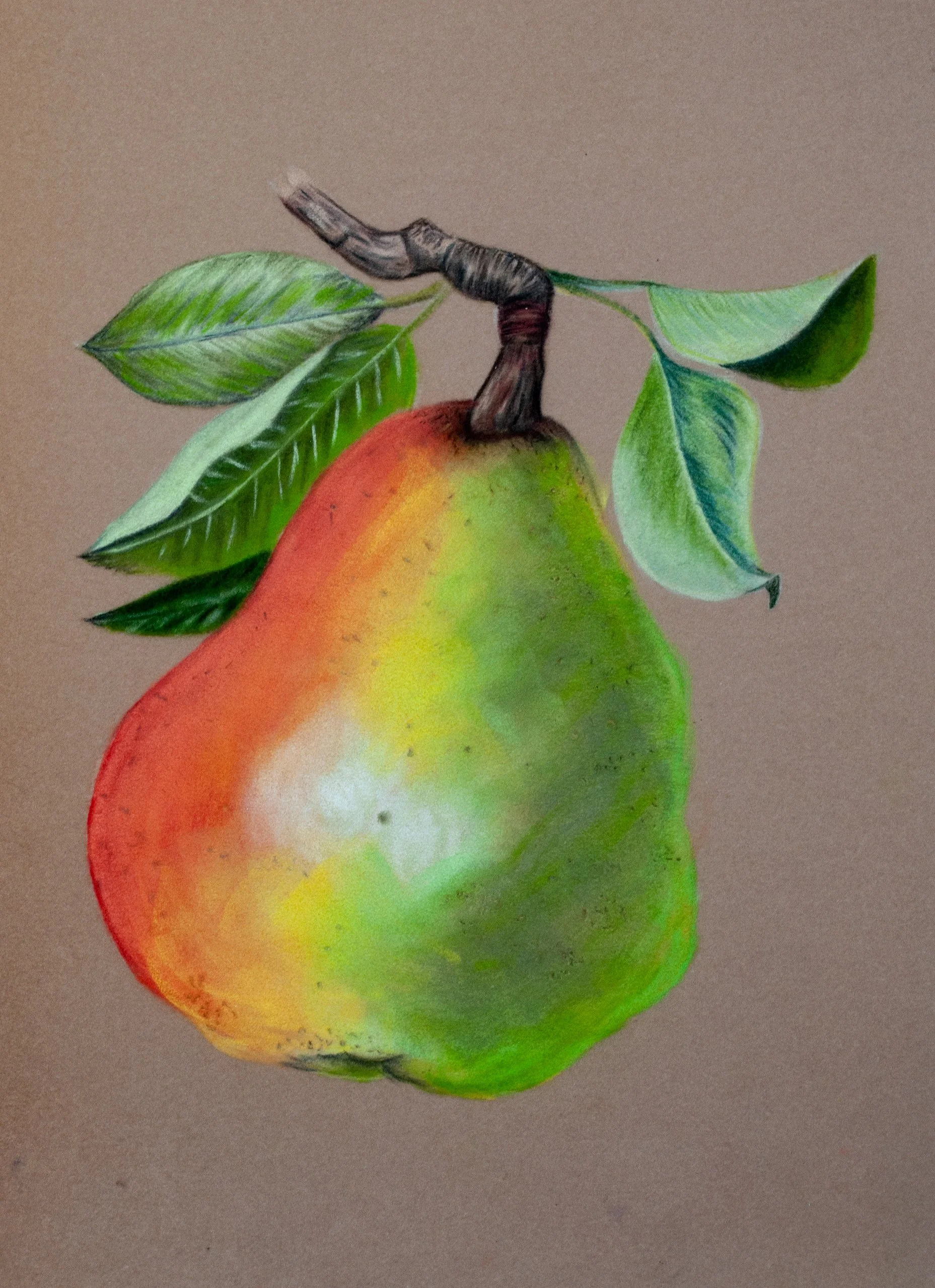 Paul Rubens Pastel Botanical Art — The Art Gear Guide