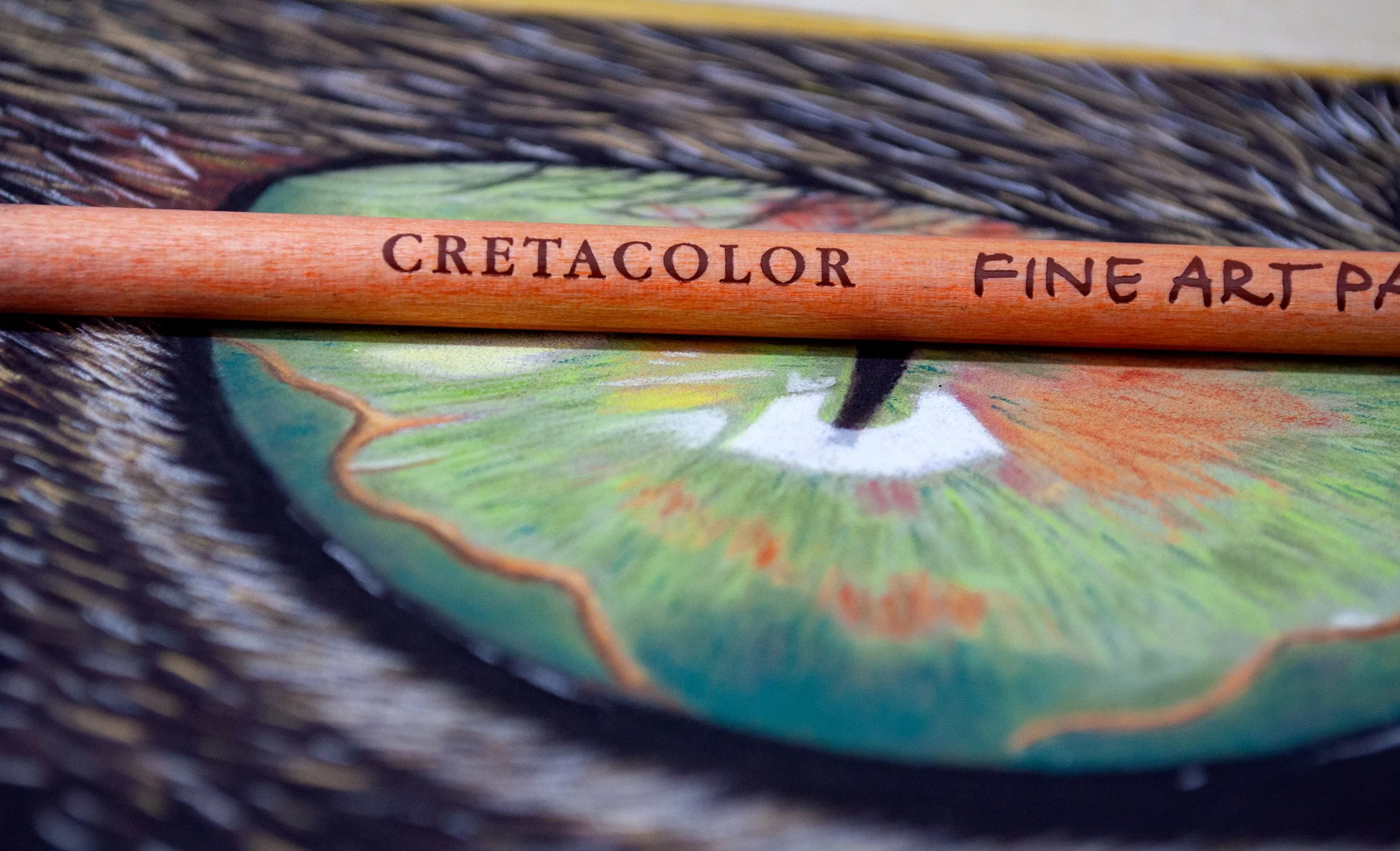 Cats Eye Study With Cretacolor Pastel Pencils — The Art Gear Guide