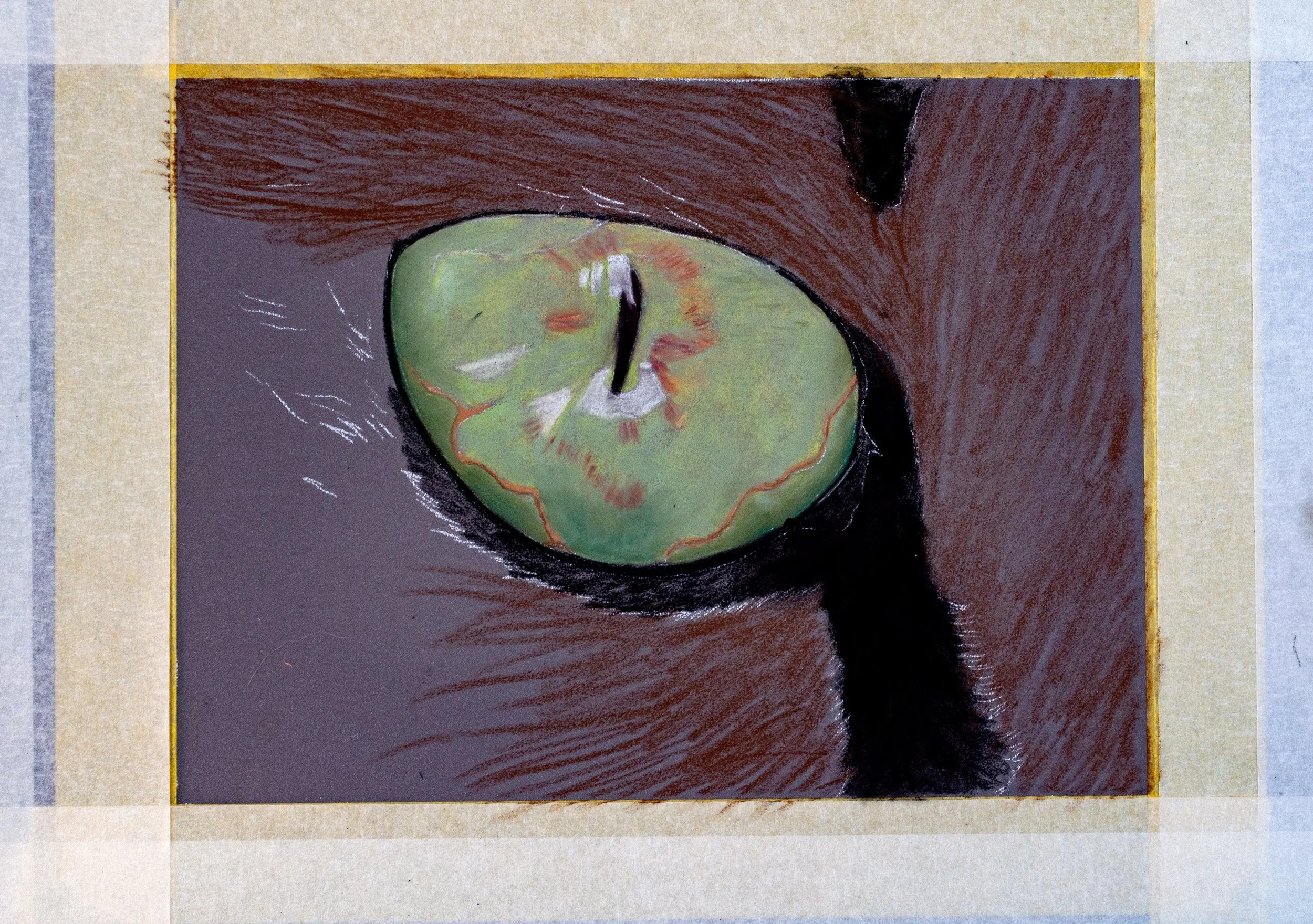 Cats Eye Study With Cretacolor Pastel Pencils — The Art Gear Guide