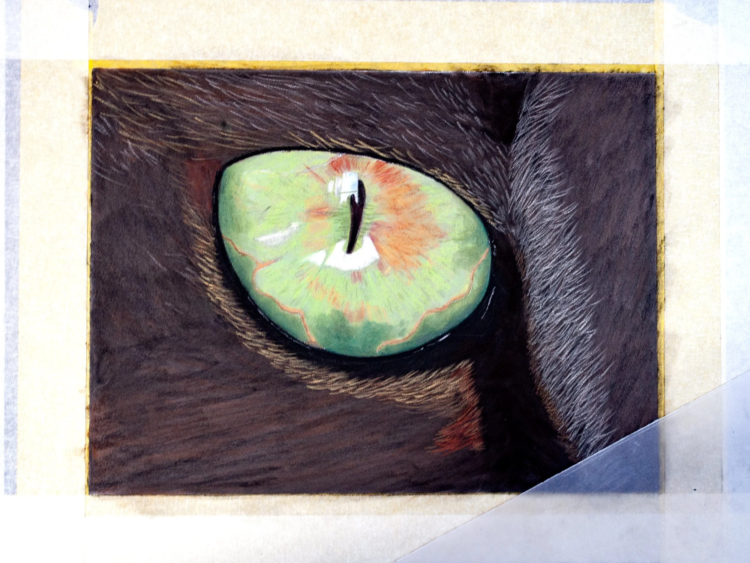 Cats Eye Study With Cretacolor Pastel Pencils — The Art Gear Guide