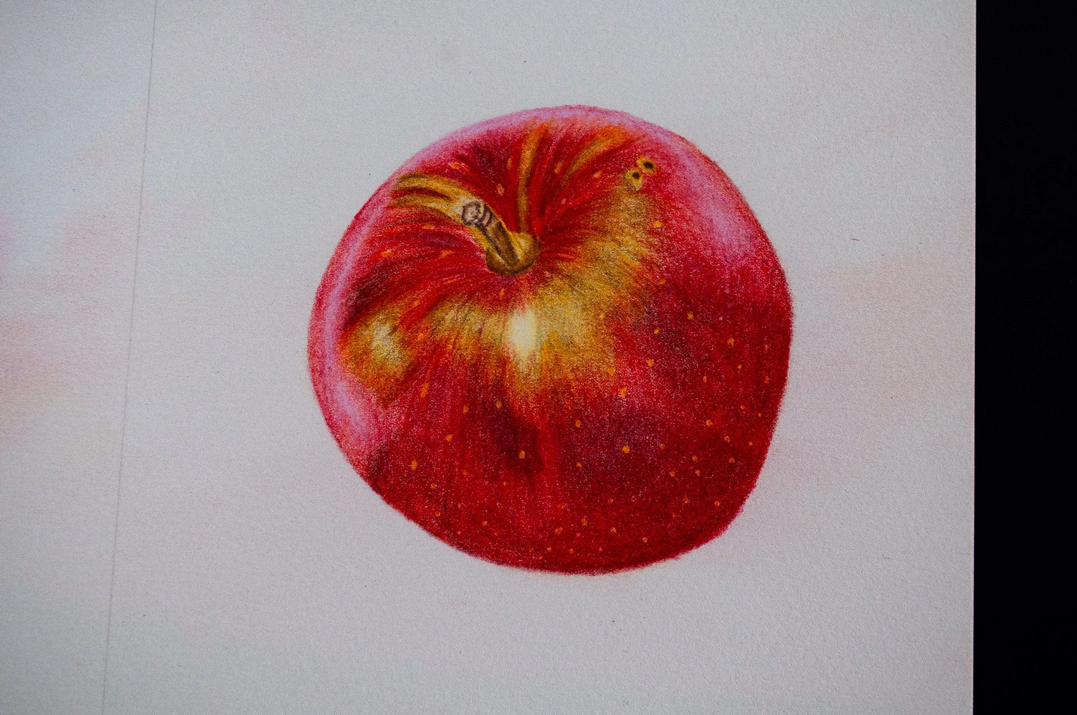 Marco Tribute Colored Pencil Art Vs Phoenixcolor Colored Pencil Art ...