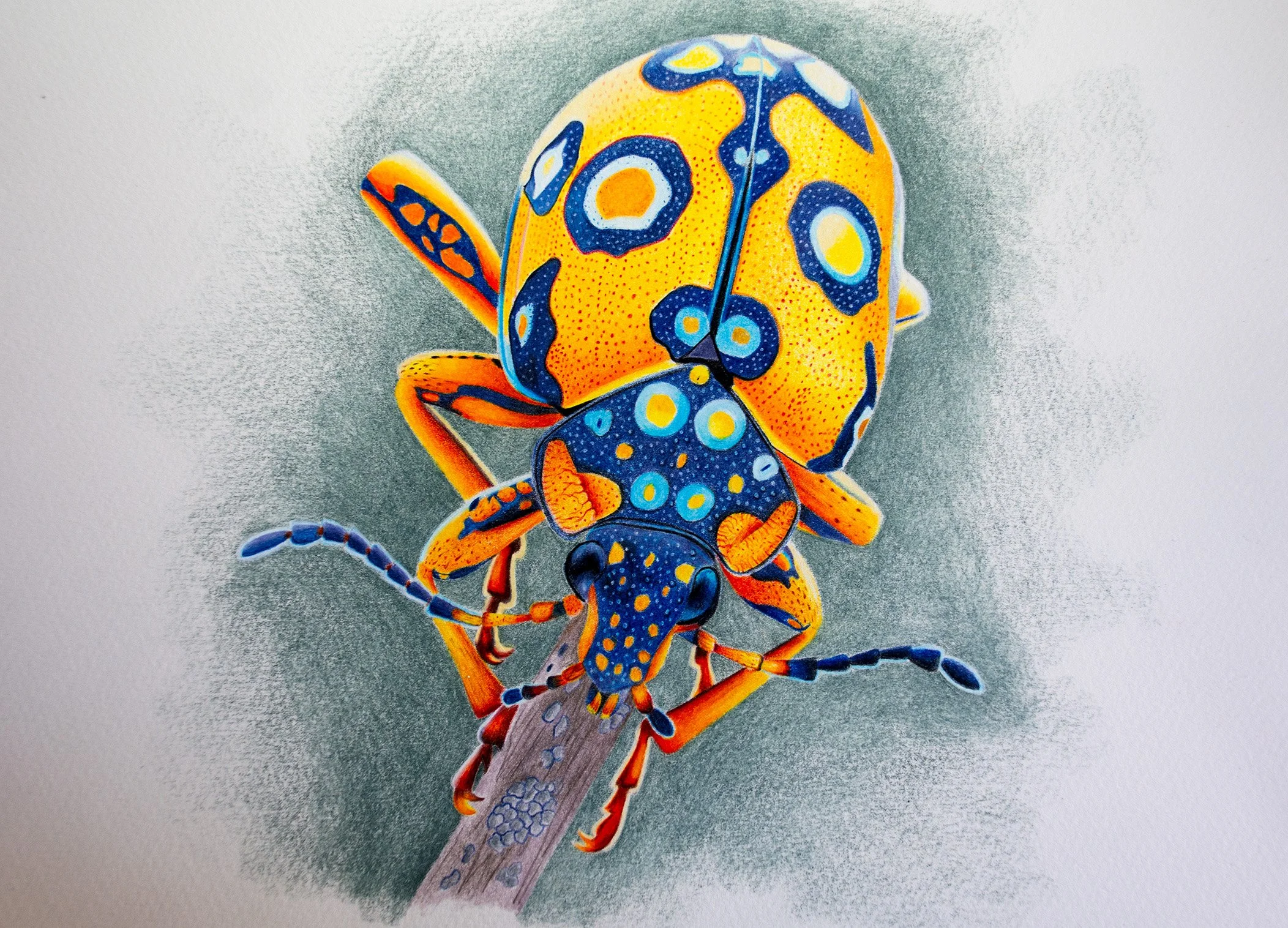 Digital Bug Art With Kalour Colored Pencils — The Art Gear Guide