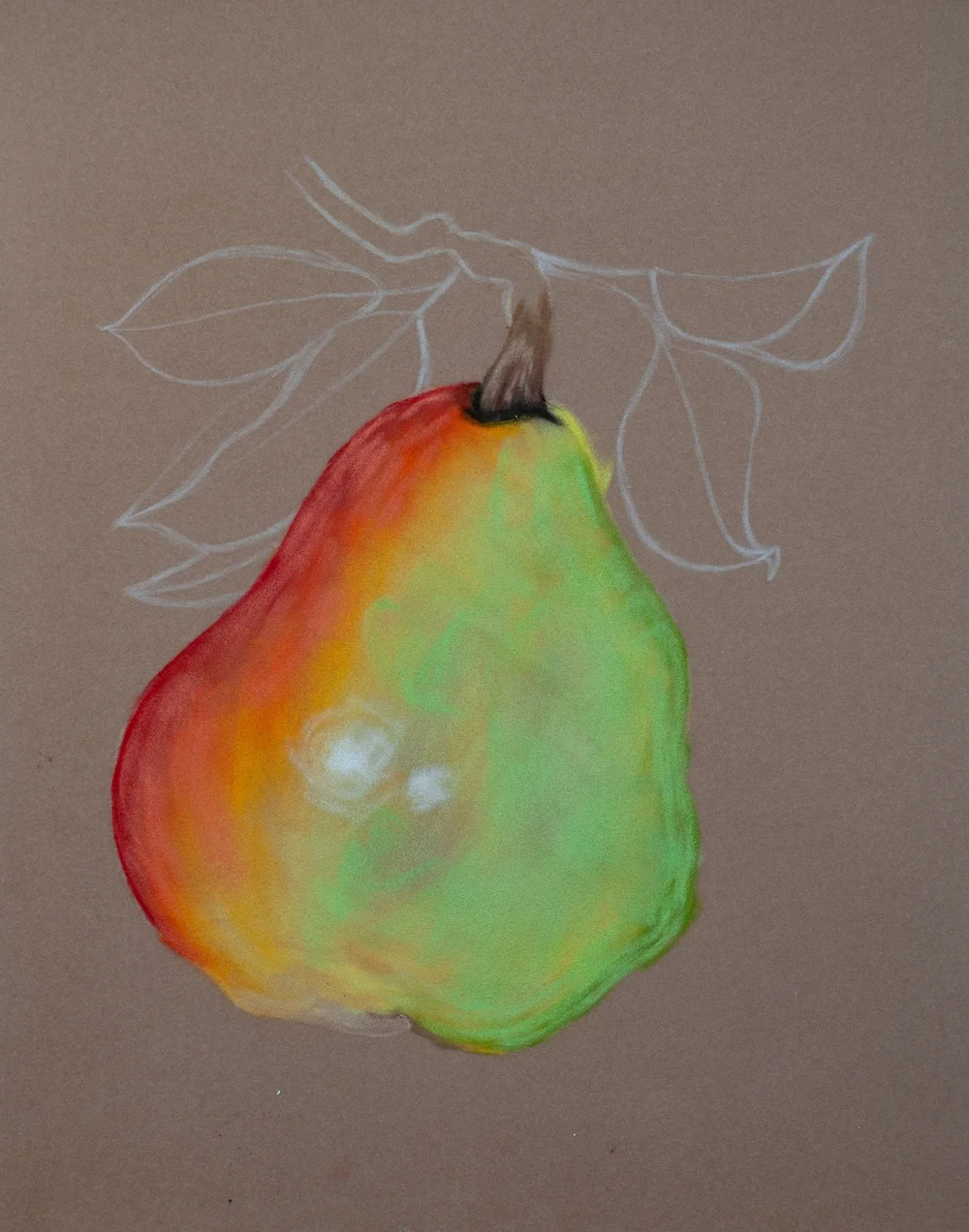 Paul Rubens Pastel Botanical Art — The Art Gear Guide