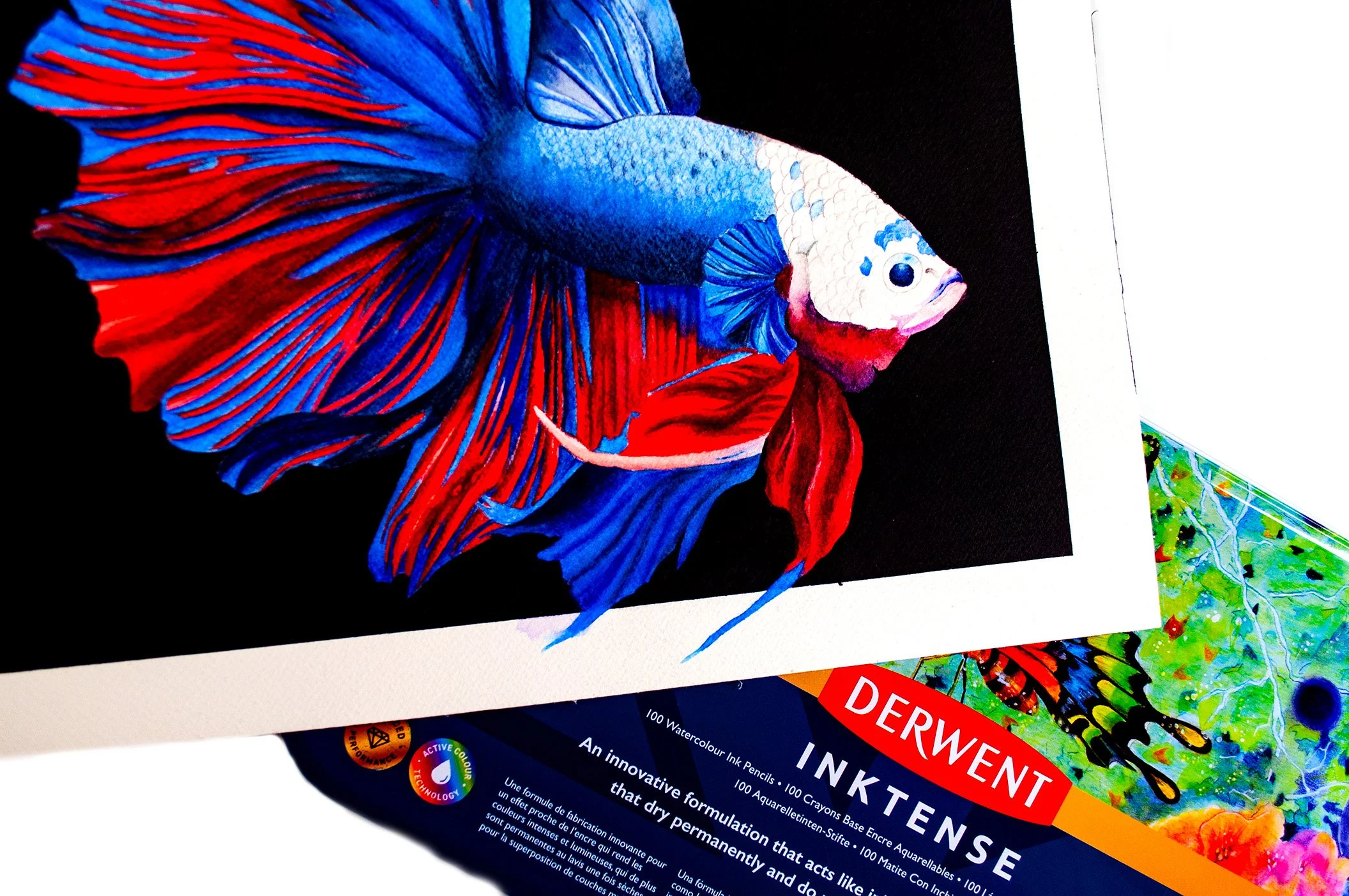 Siamese Fighting Fish Art With Derwent Inktense — The Art Gear Guide