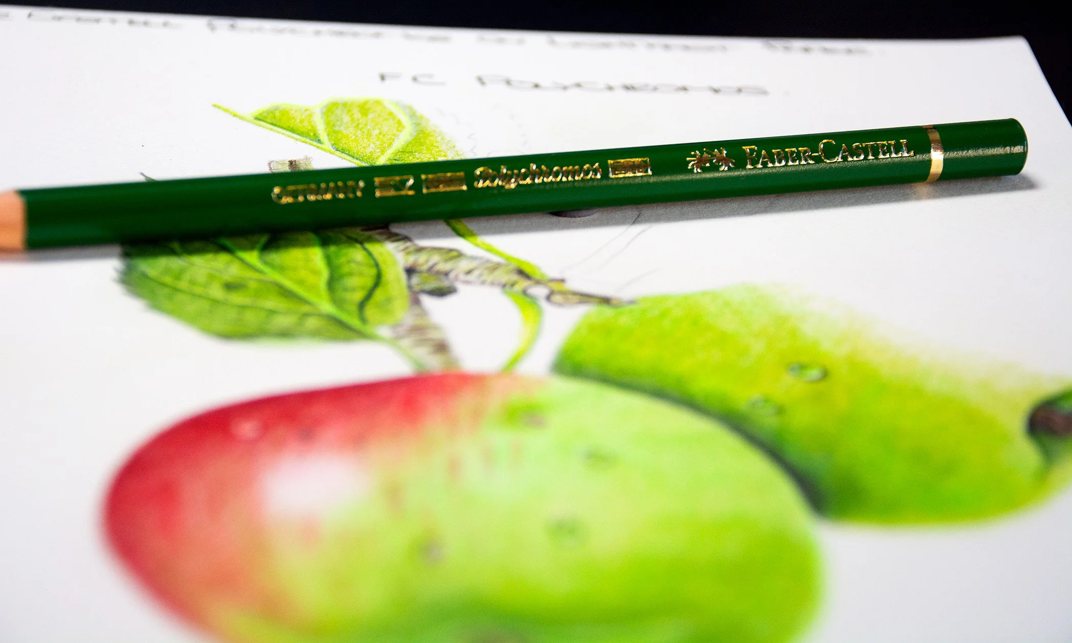 Pablo v Polychromos v Holbein Colored Pencils — The Art Gear Guide