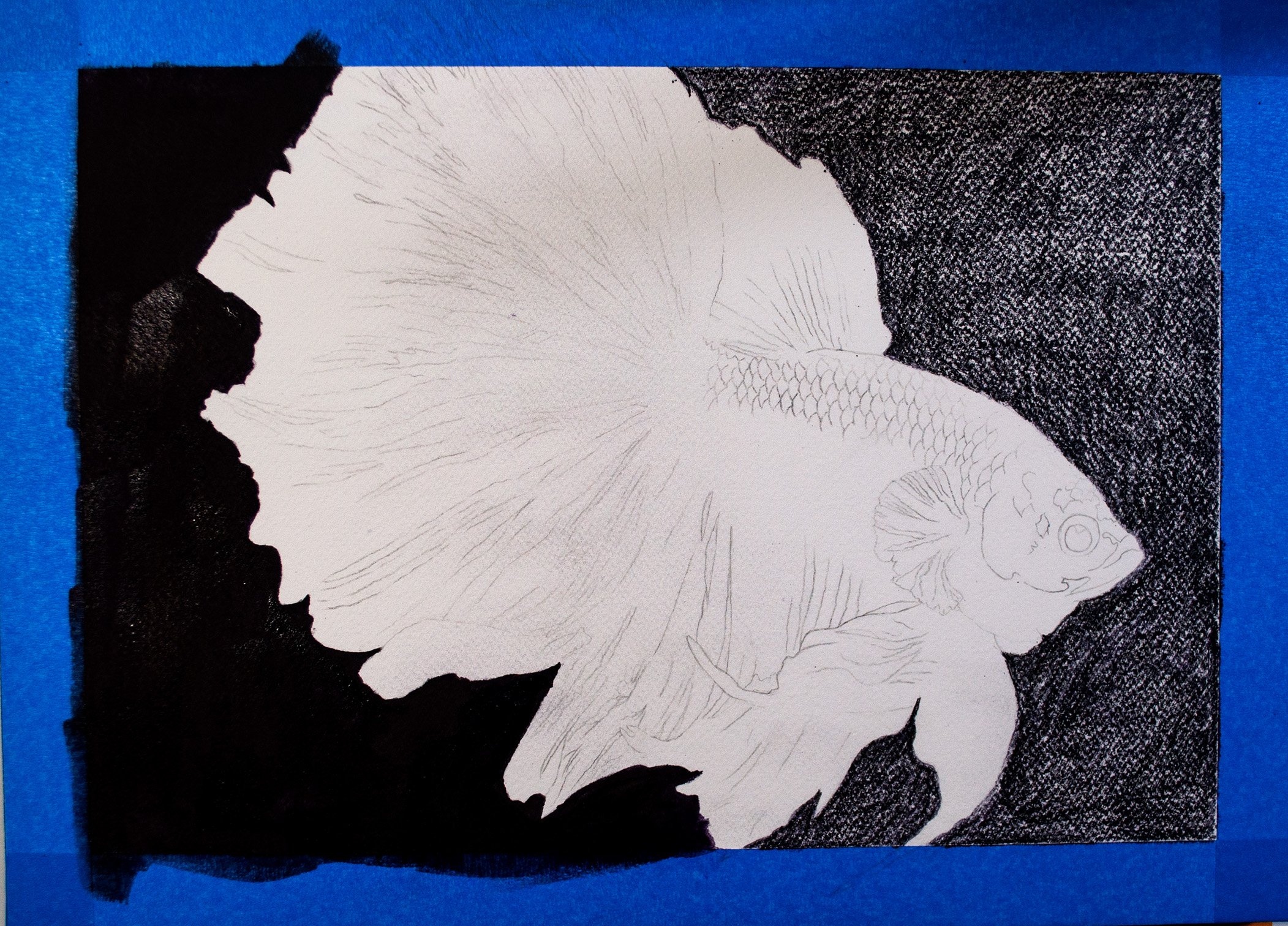 Siamese Fighting Fish Art With Derwent Inktense — The Art Gear Guide