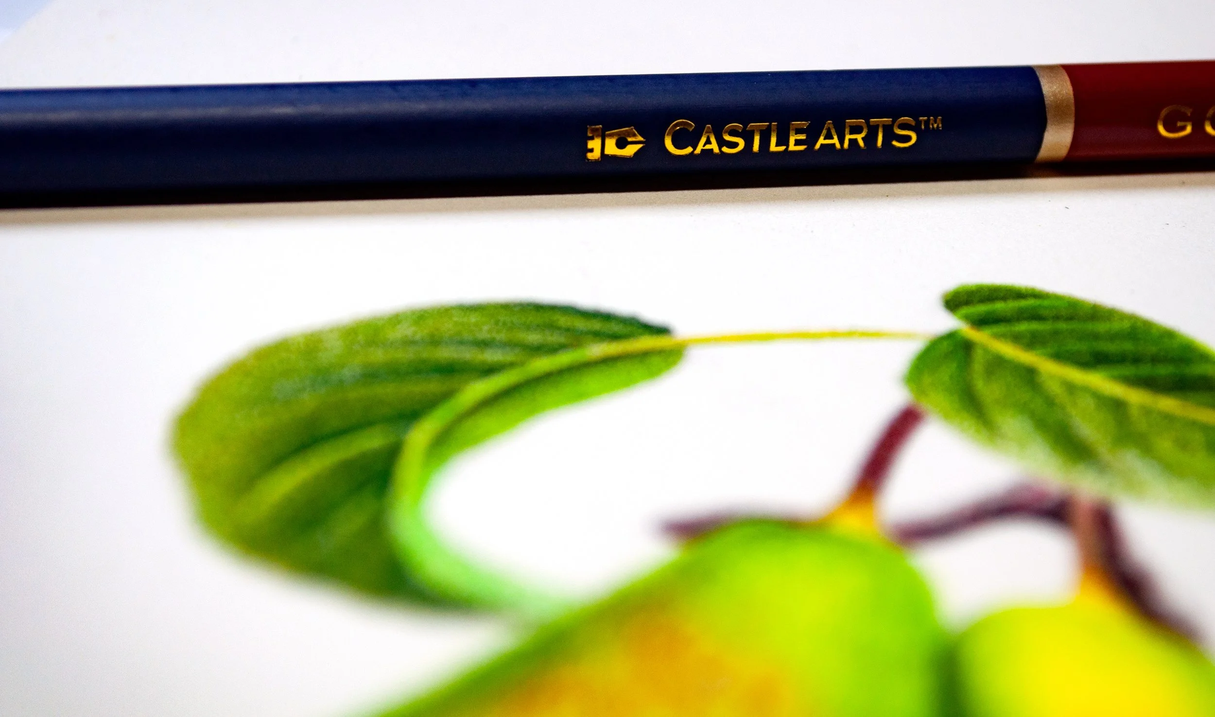 Castle Arts Gold Colored Pencils Review | 120 Gold Castle Arts Colored ...