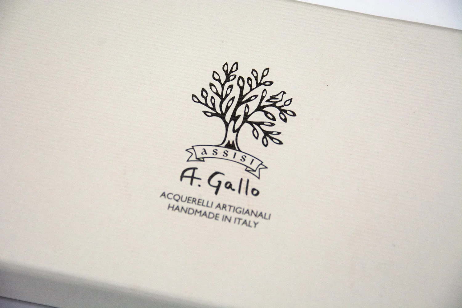 A Gallo Italian Watercolor Paints Review — The Art Gear Guide