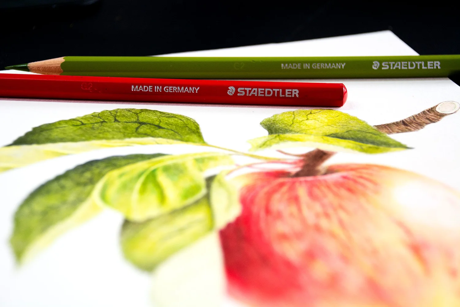 Staedtler Coloured Pencils Design Journey Botanical Art — The Art Gear ...