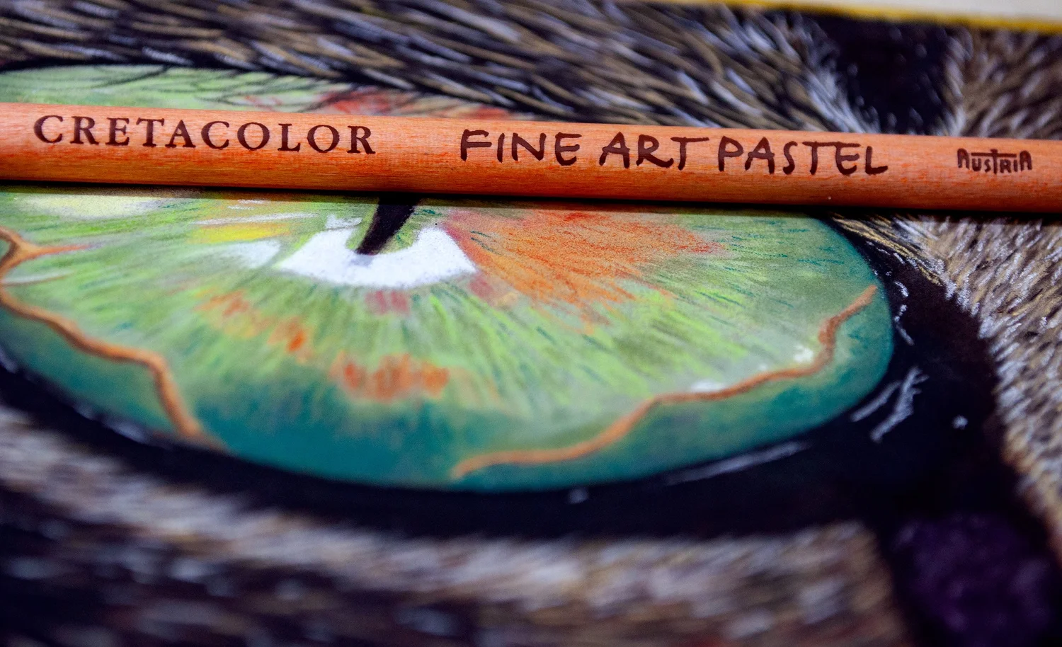 Cats Eye Study With Cretacolor Pastel Pencils — The Art Gear Guide