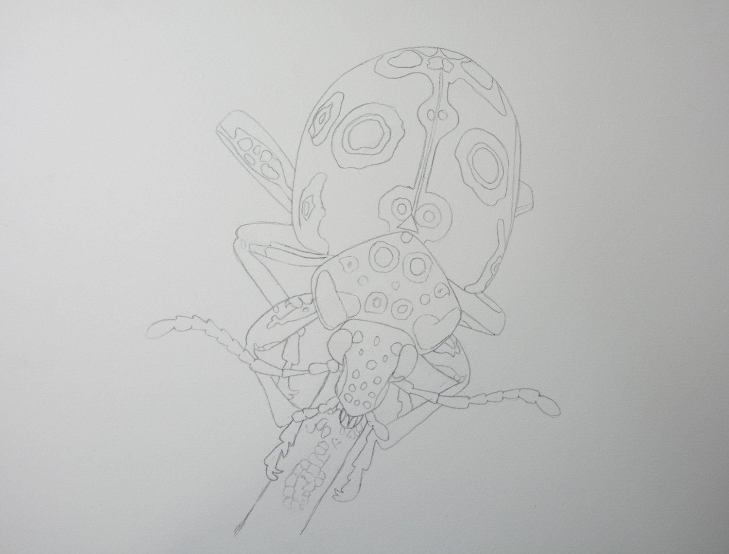 Digital Bug Art With Kalour Colored Pencils — The Art Gear Guide