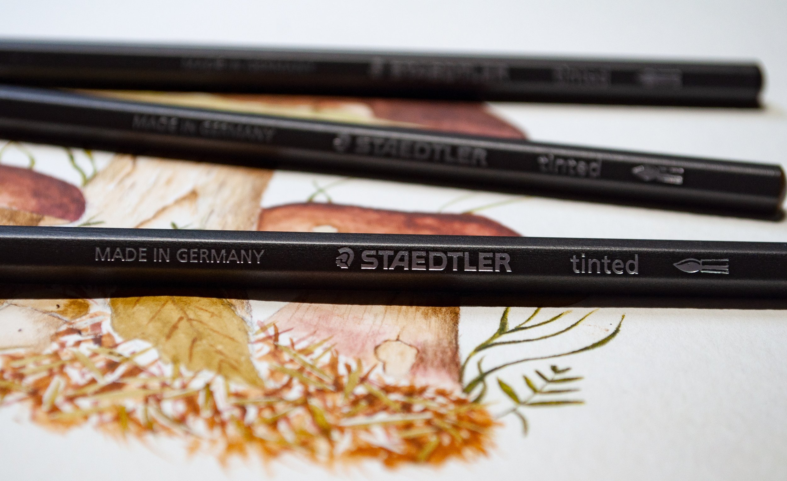 Staedtler Tinted Watercolour Pencils — The Art Gear Guide