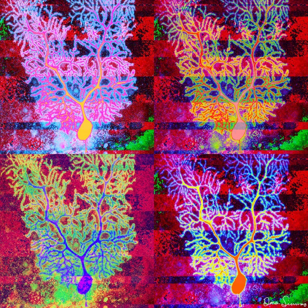 Neuroscience Art Prints
