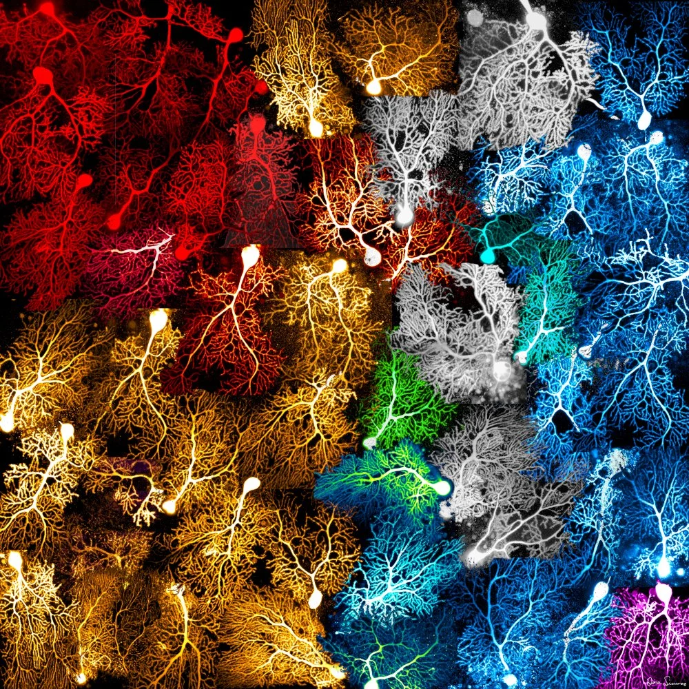 Neuroscience Art Prints