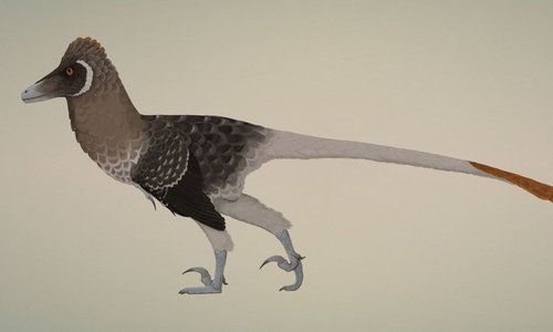 The Art of Extinct Animals — Popularizing Palaeontology
