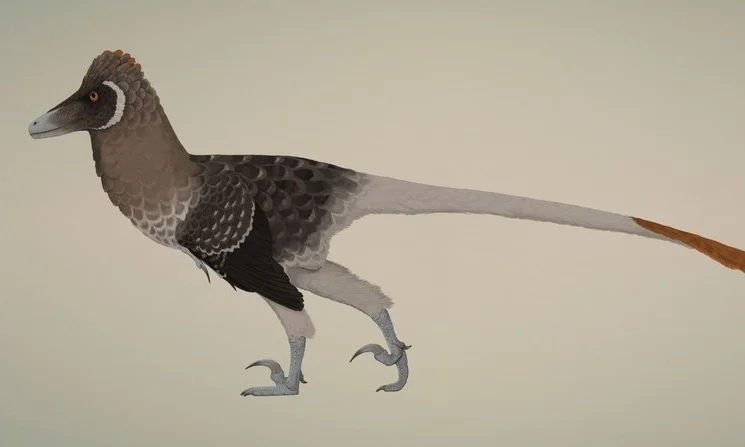 The Art of Extinct Animals — Popularizing Palaeontology