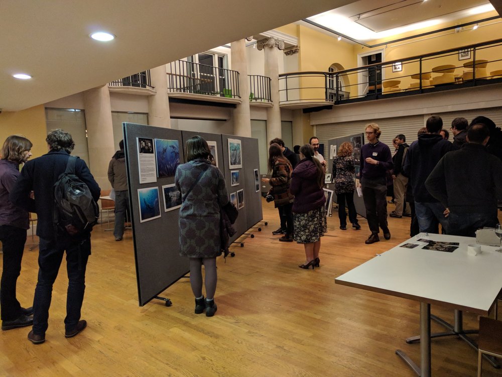 The Art of Extinct Animals — Popularizing Palaeontology