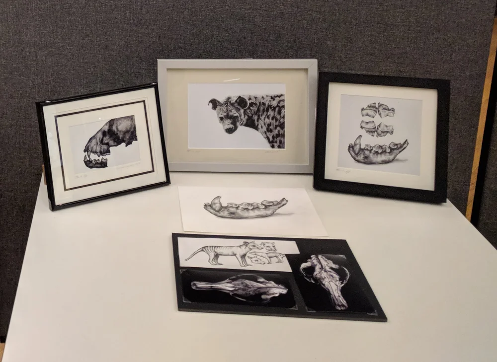 The Art of Extinct Animals — Popularizing Palaeontology