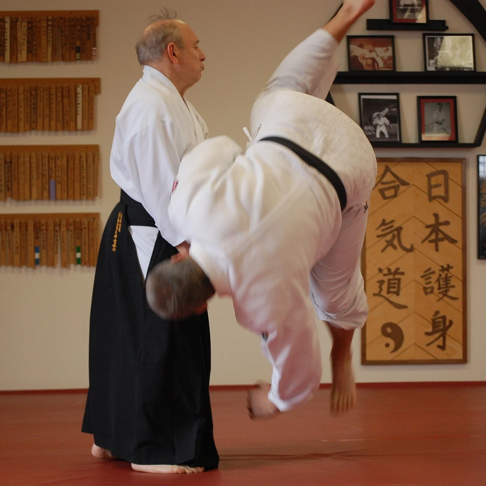 Daito Ryu Aiki Jujutsu Kiyamakai