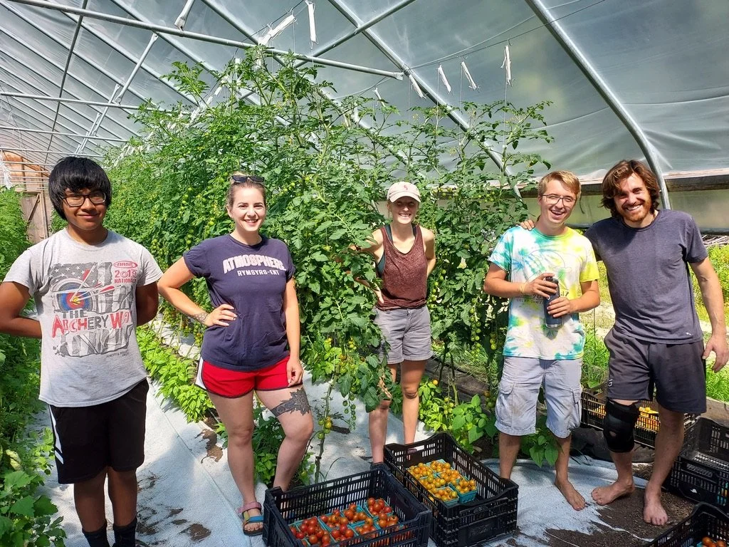 Sweet Beet — Kearsarge Food Hub