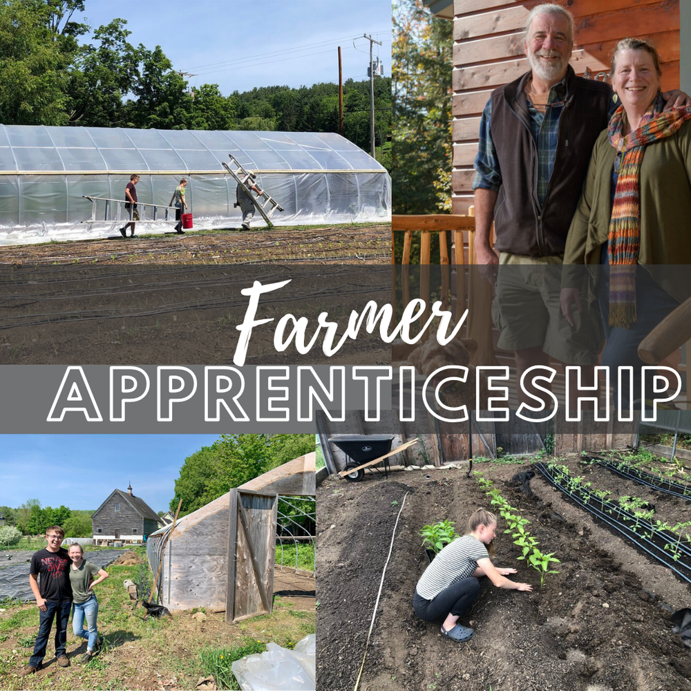 Farmer Apprenticeship — Kearsarge Food Hub