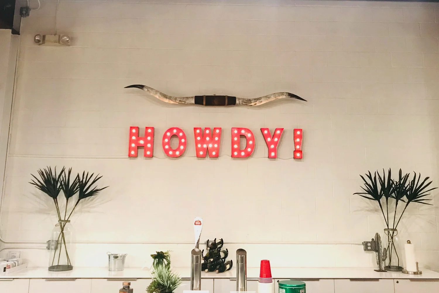 anne mcgilvray & co. — Rise Creative LA
