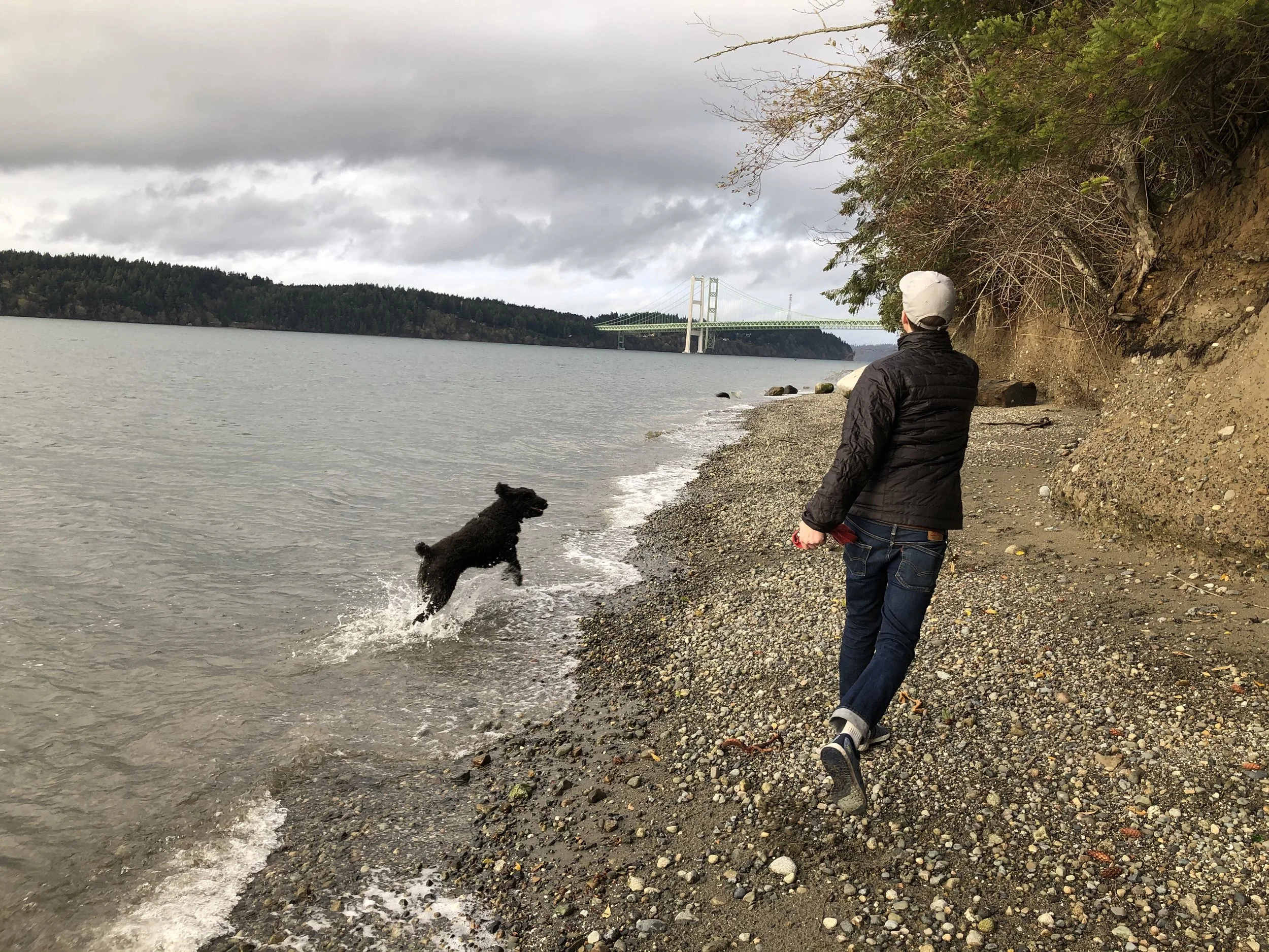 The Sunset Side: Tacoma's Other Waterfront — Michael Duggan - Tacoma Homes