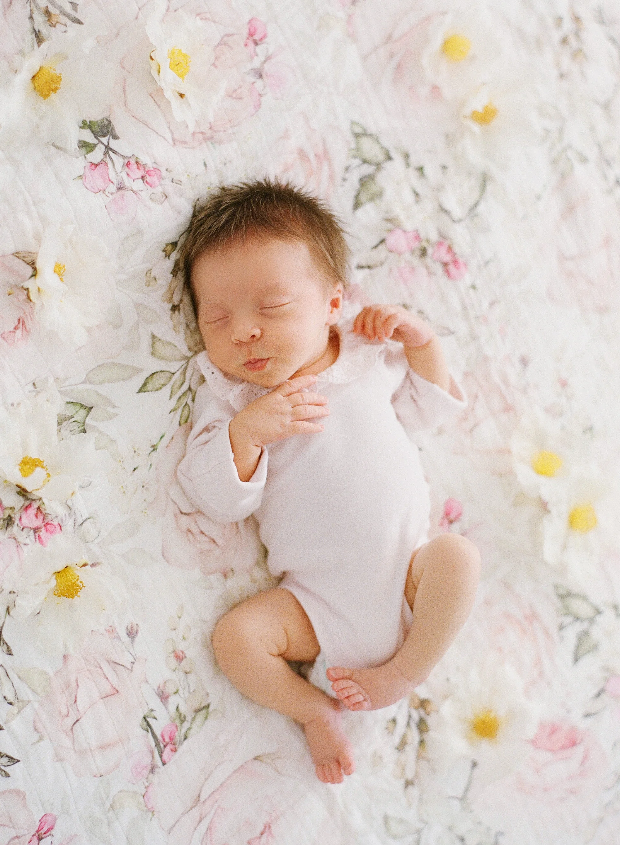 Galleries — By Lana Bell