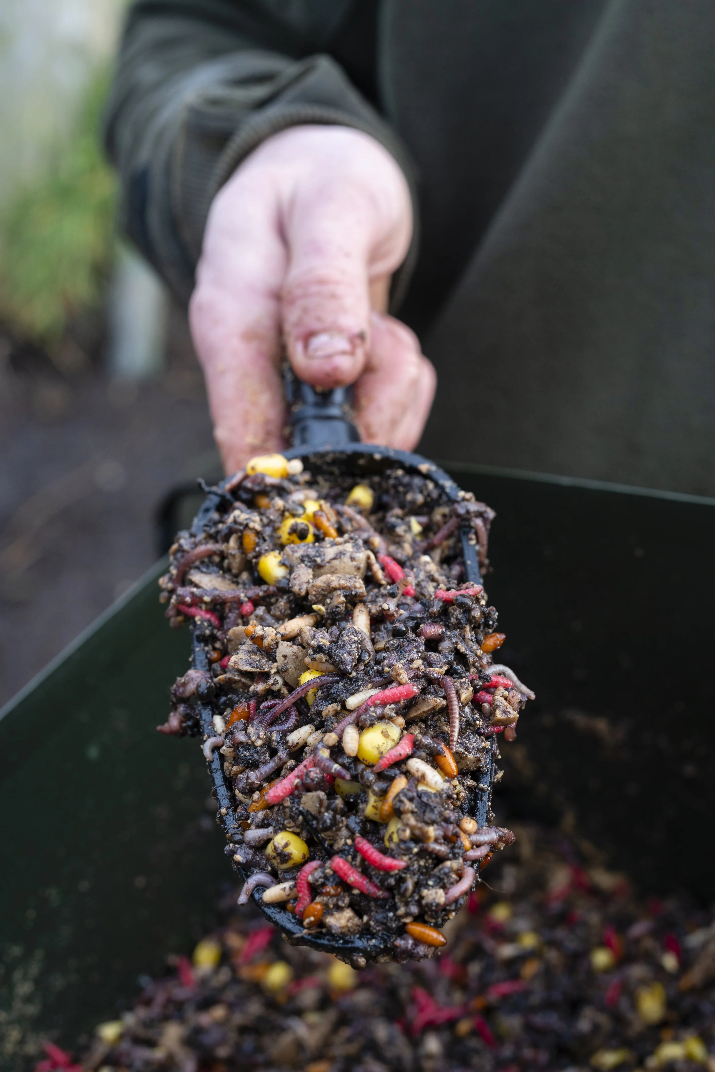 Best Spod Mix For Summer | informacionpublica.svet.gob.gt