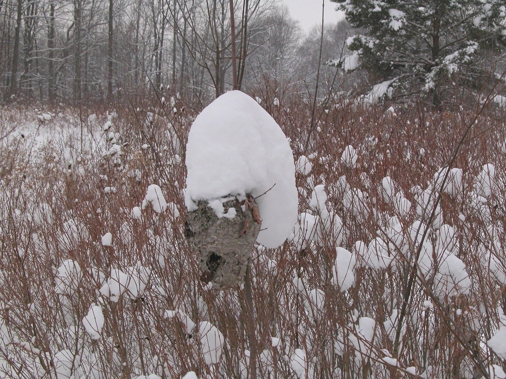 Portage County Soil & Water Conservation District