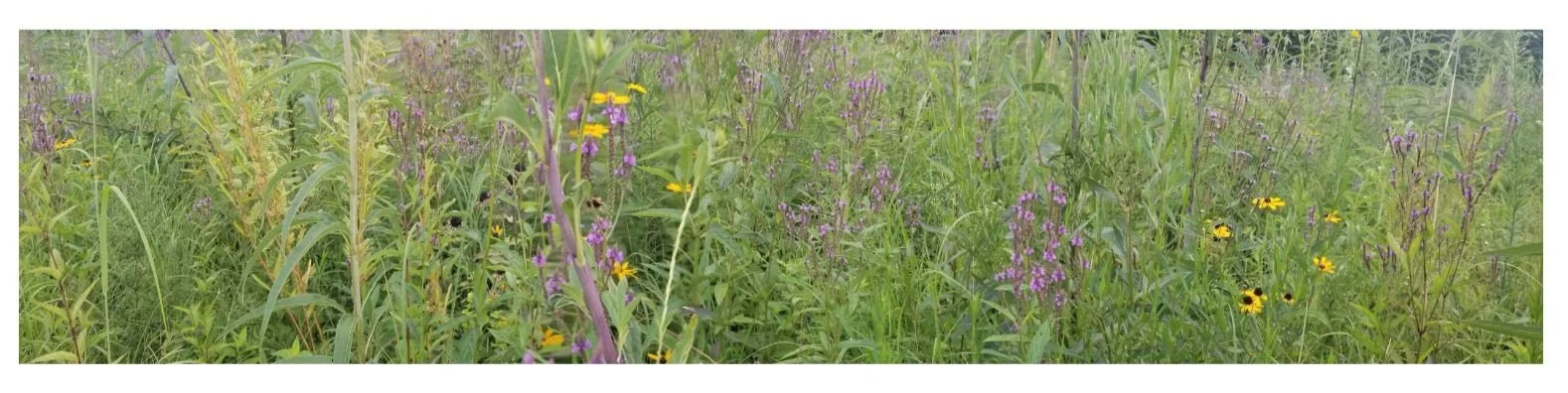 Portage County Soil & Water Conservation District