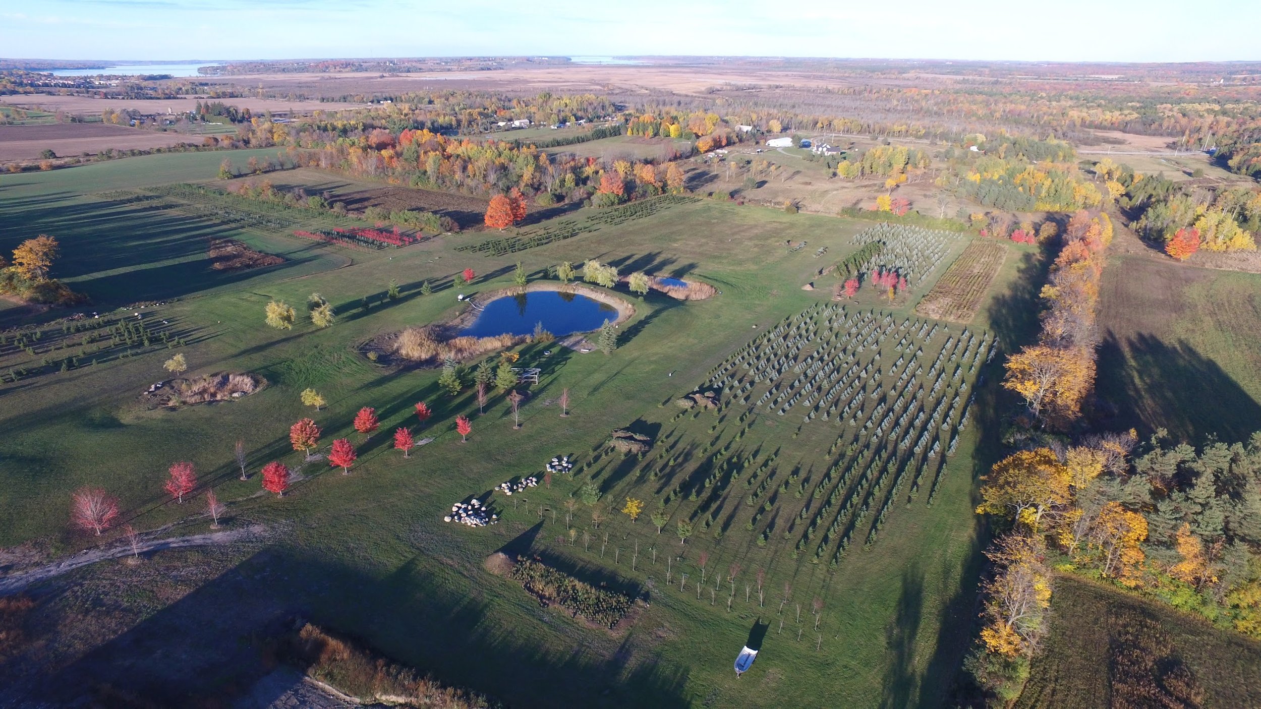 Eastview Tree Farm | Port Perry