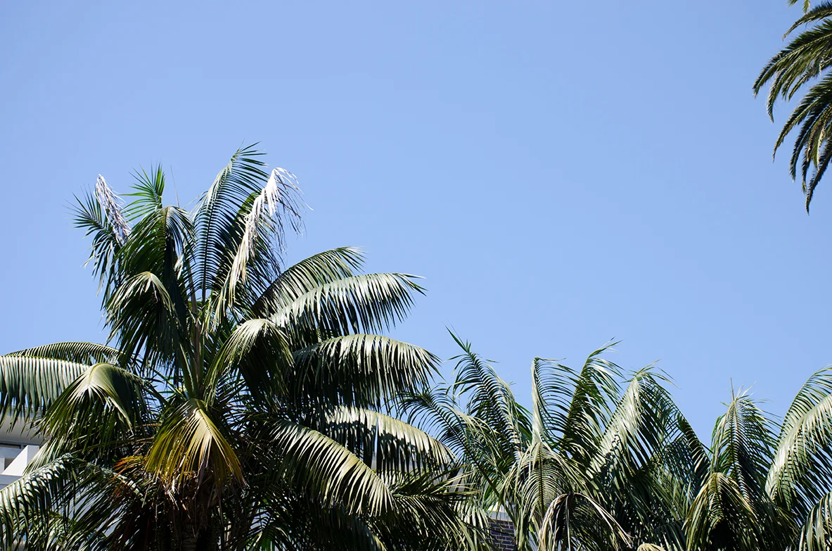 The Pantry Manly The Pantry Manly