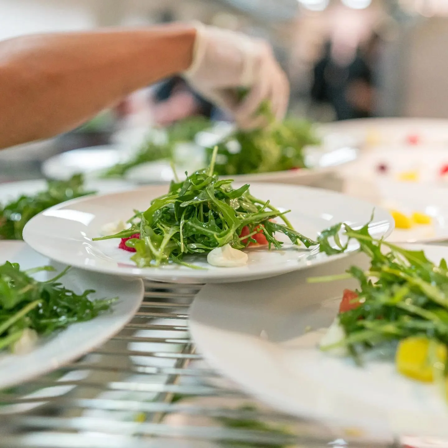 Michigan Catering and Events: Corporate, Social, Weddings