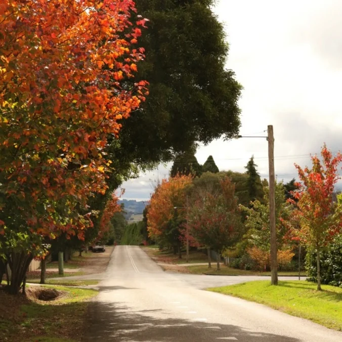 Burrawang Easter Market