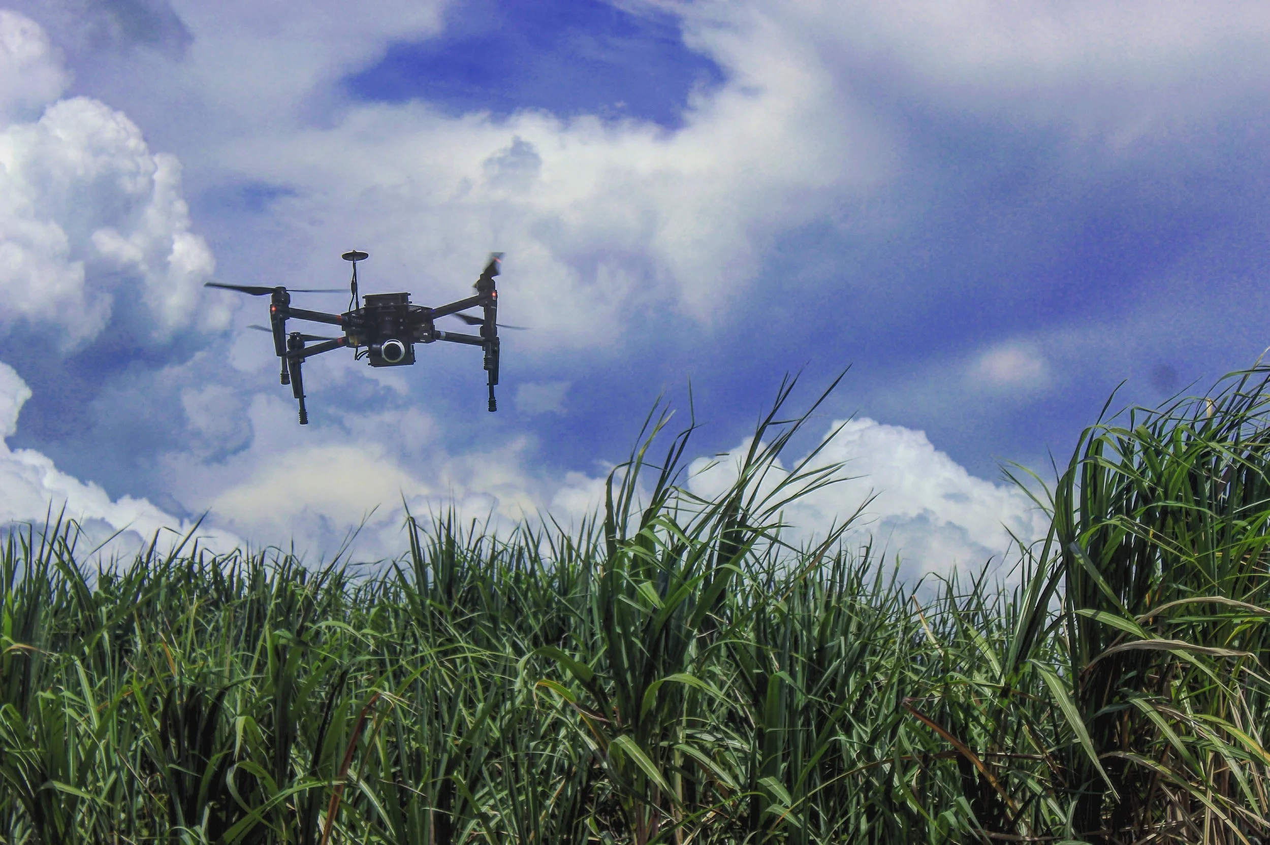 INDIGO Agrícola pionero en fumigación con drones en Costa Rica — INDIGO ...