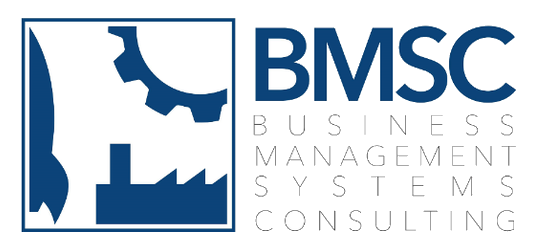 Consultants – TQMS Inc.