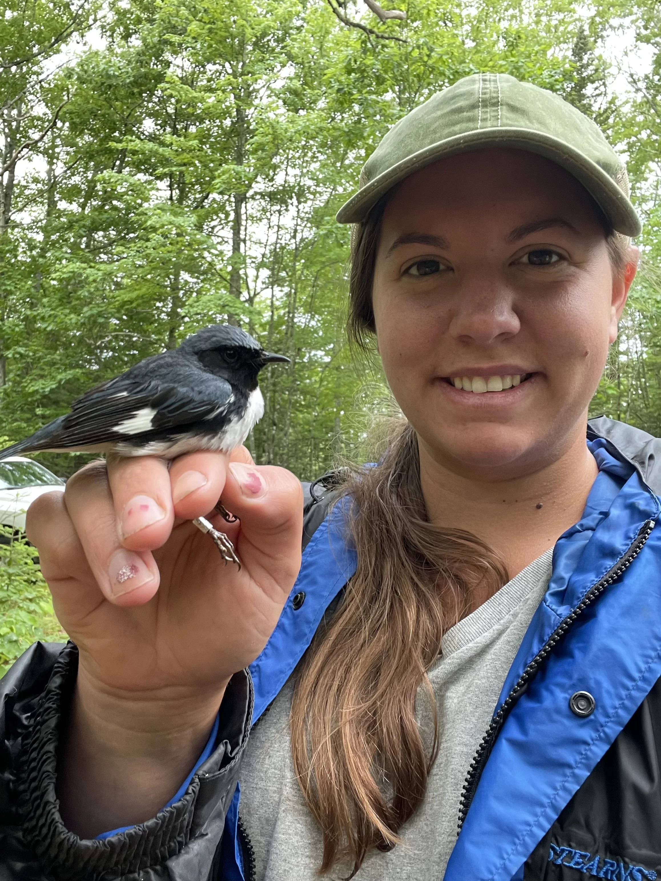 Bird Fest Directory — Cobscook Institute