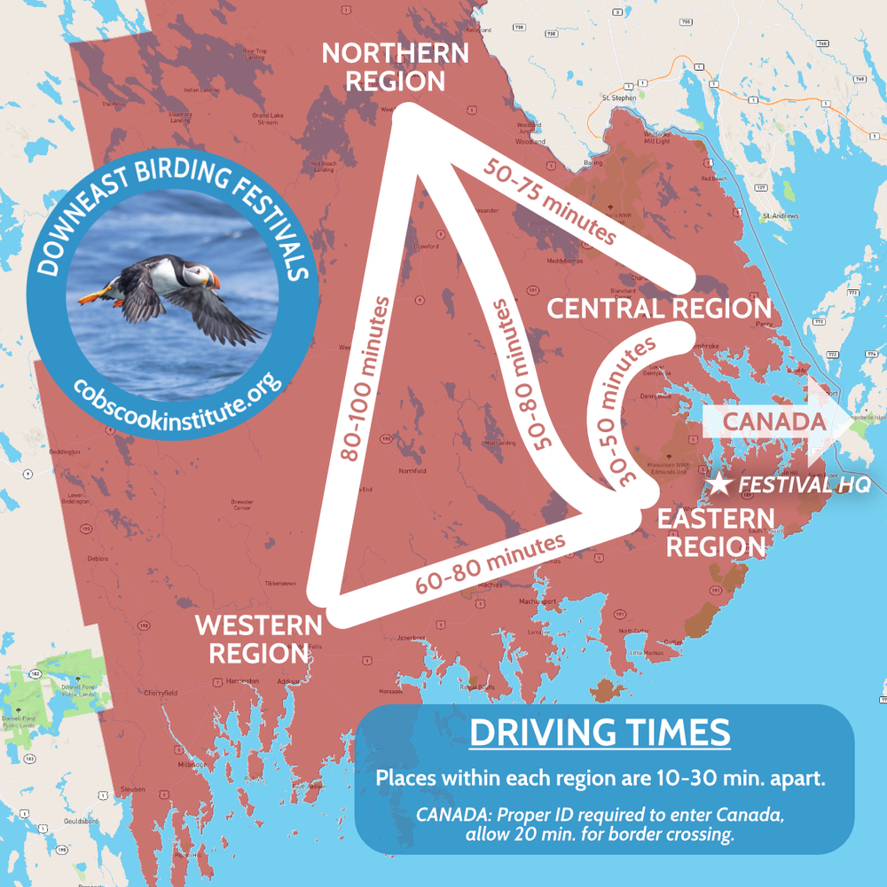 Spring Festival — Cobscook Institute