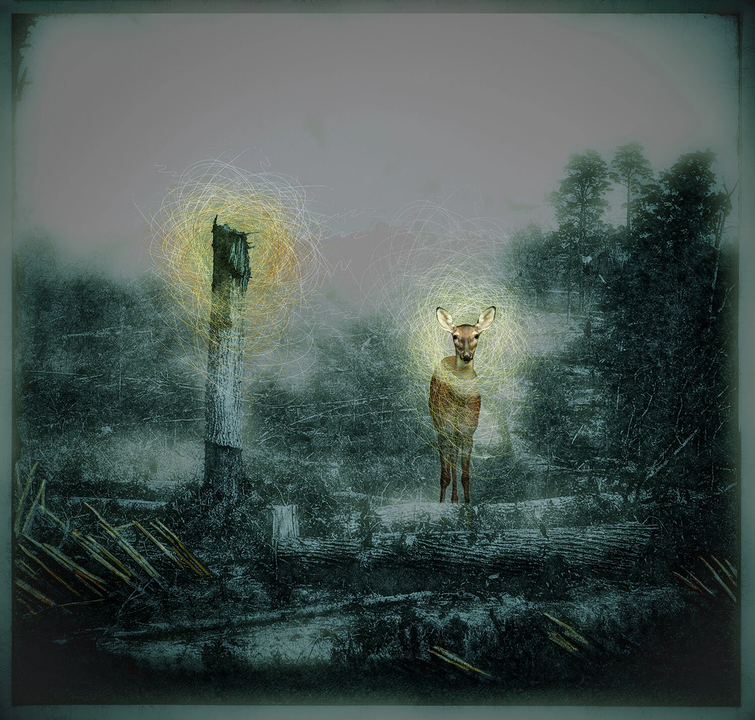 Embattlements — Judy Henson artist/designer