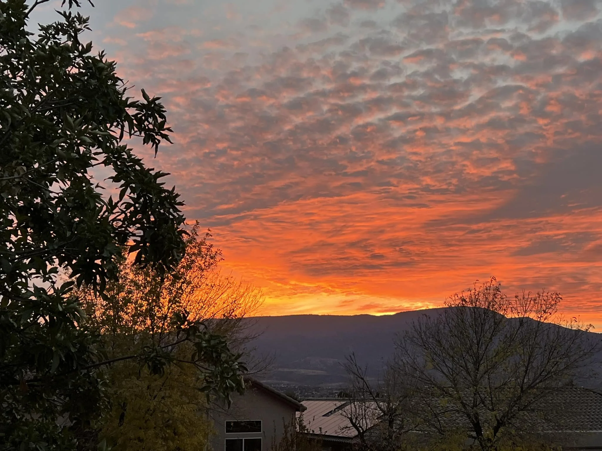 Journeys Around the World: Susan Morley