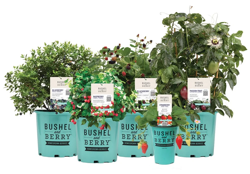 Bushel and Berry®