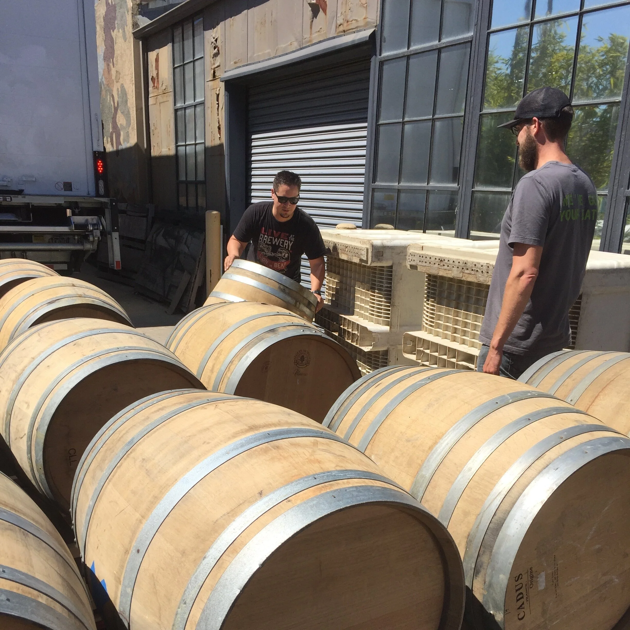 Barebottle Brewing Co. - Production Brewery & Taproom - Wine