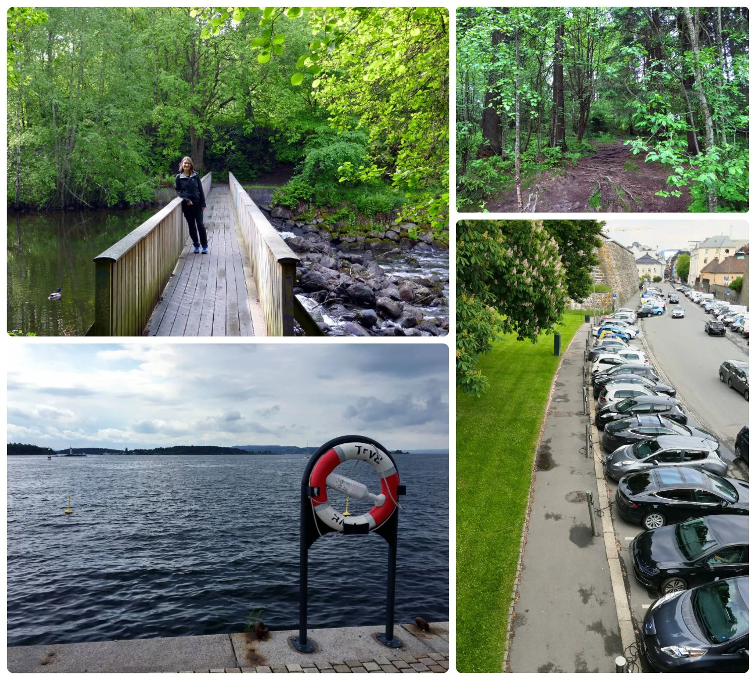 City Guide to Oslo, Norway: Part 2 | Must See Attractions, Travel Tips ...