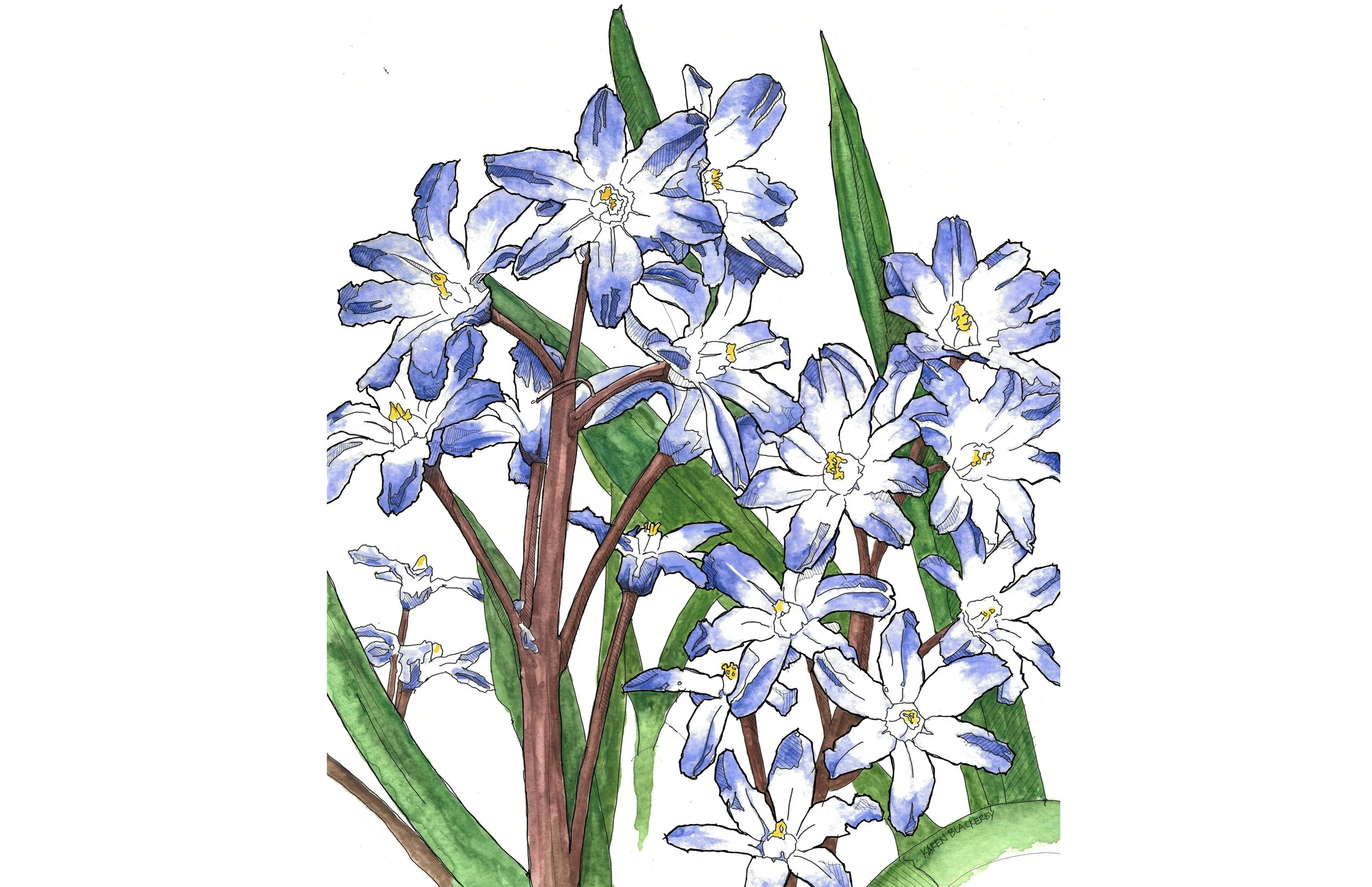 SALES & NURSERY DISCOUNTS — Vineyard Gardens