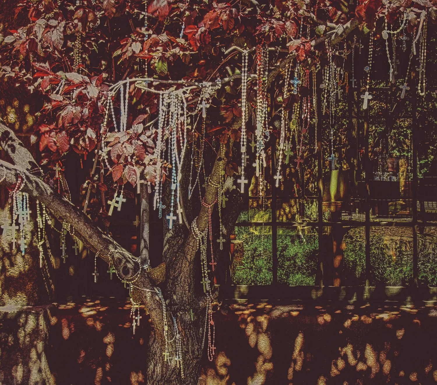 What is Ritual and Ceremonial Psychology? — Whole Person Integration