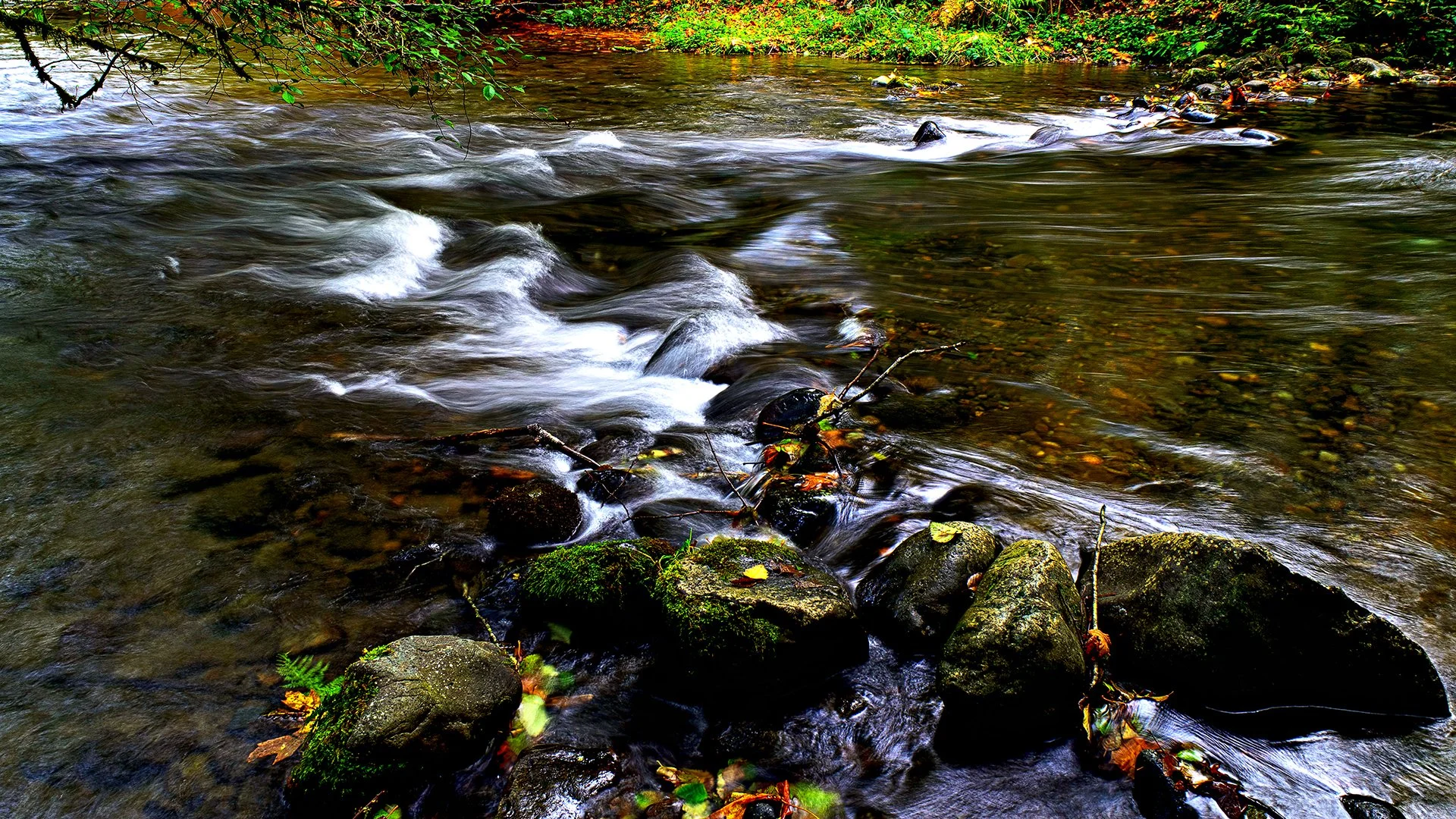 CONSERVATION BENCHMARKS