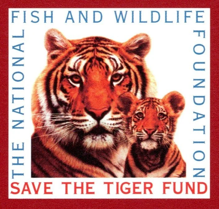 Save the Tiger Project — CONSERVATION BENCHMARKS