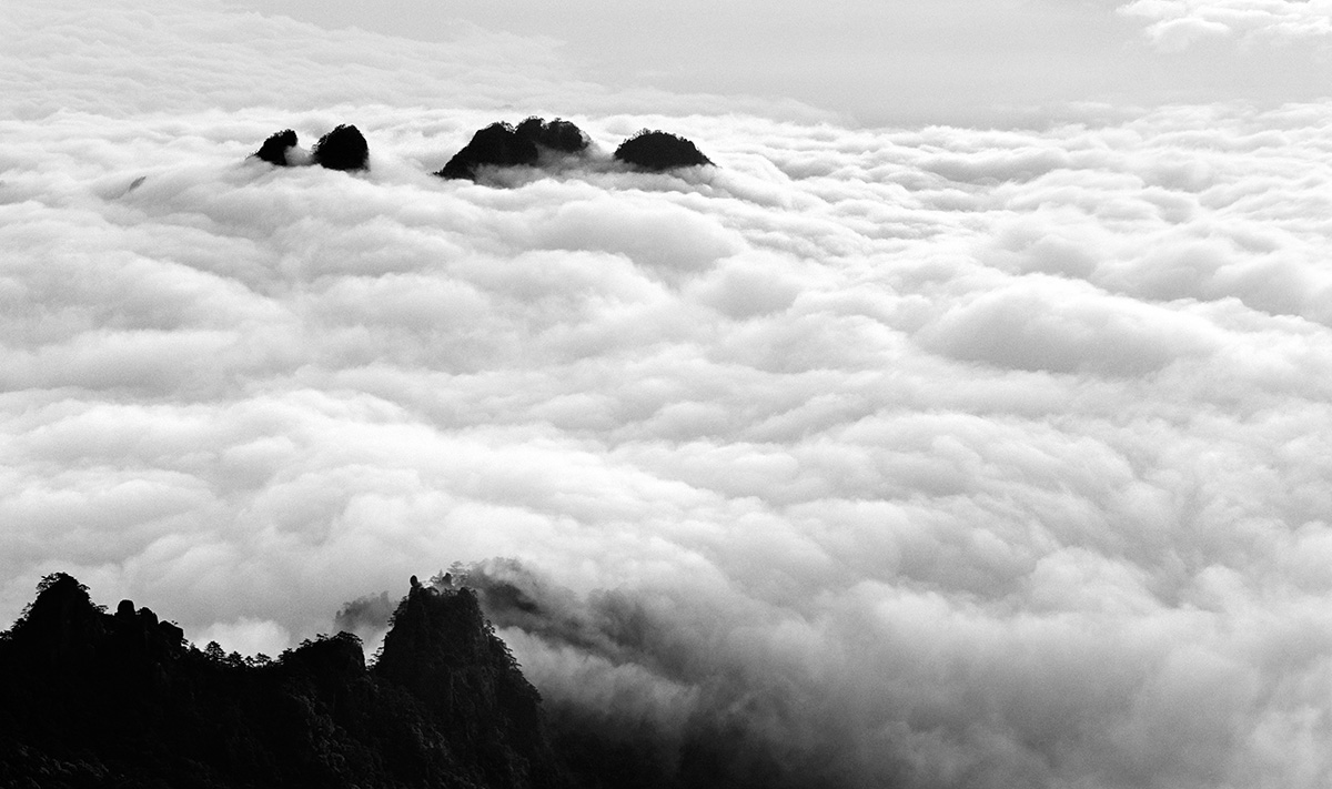 Wang Wusheng — Inter Gallery Beijing