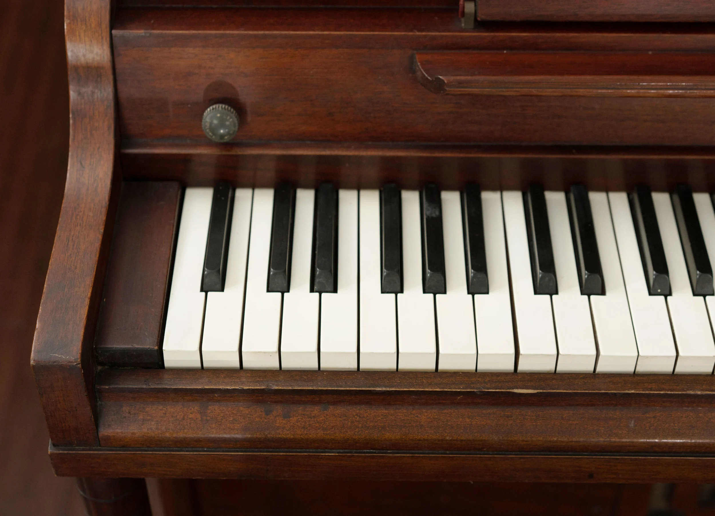 Wurlitzer 700 (Mahogany): Details & Closeups — Tropical Fish